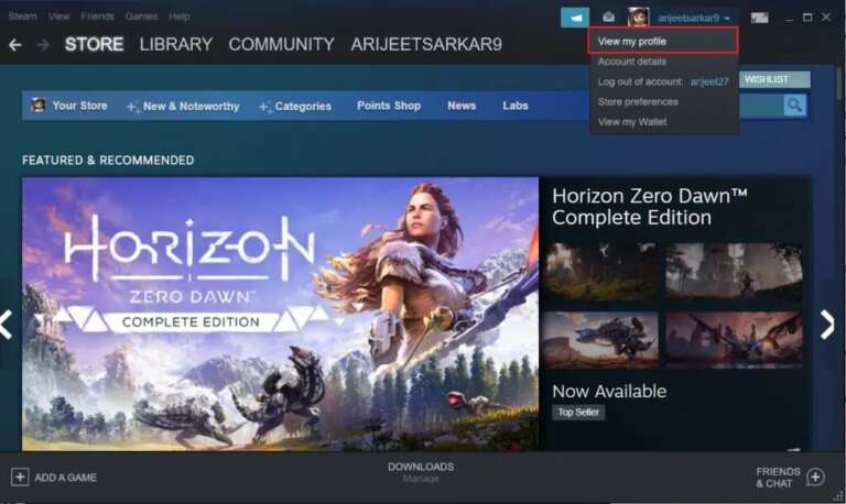 Comment changer votre photo de profil Steam | La meilleure maison