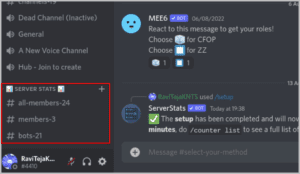 Discord Profili ve Sunucu İstatistikleri Nasıl Kontrol Edilir | en iyi ev