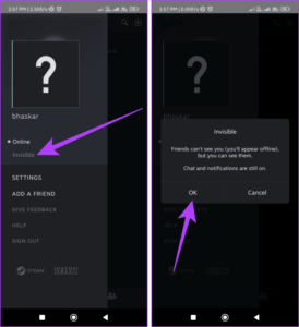 Comment apparaître hors ligne ou invisible sur Steam (sans être ...