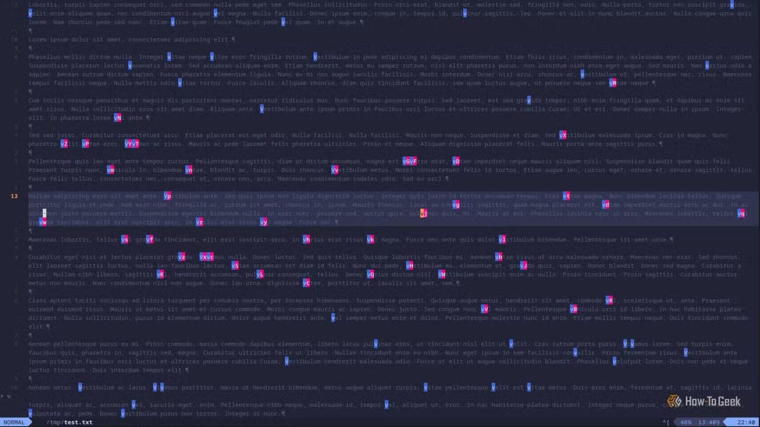 Why Neovim is the best choice for text editing on Linux | Ahla Home